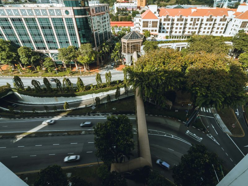 Can a LTVP pass holder work in Singapore?